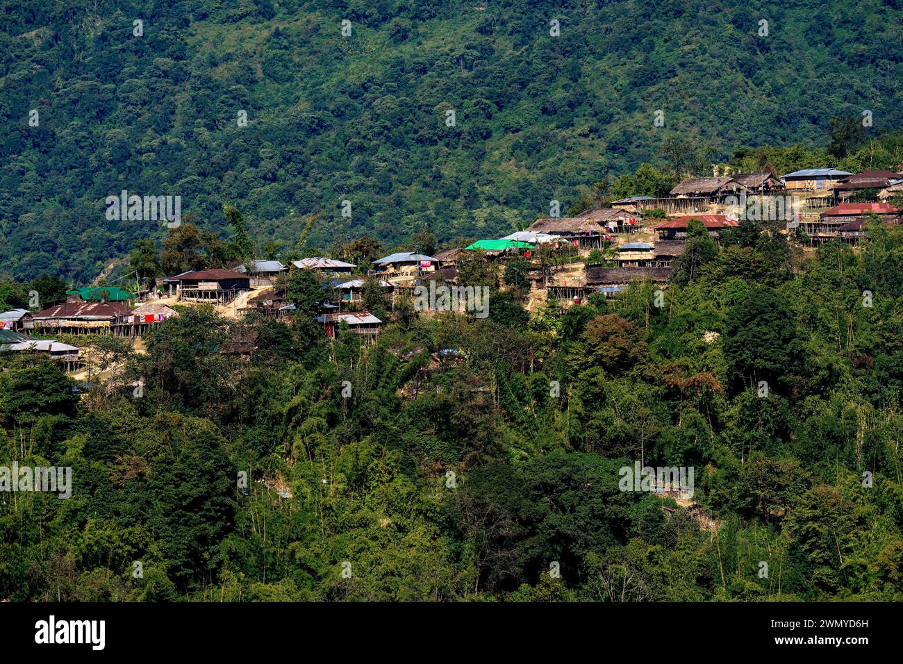 Indigenous people india forest hi-res stock photography and images - Alamy