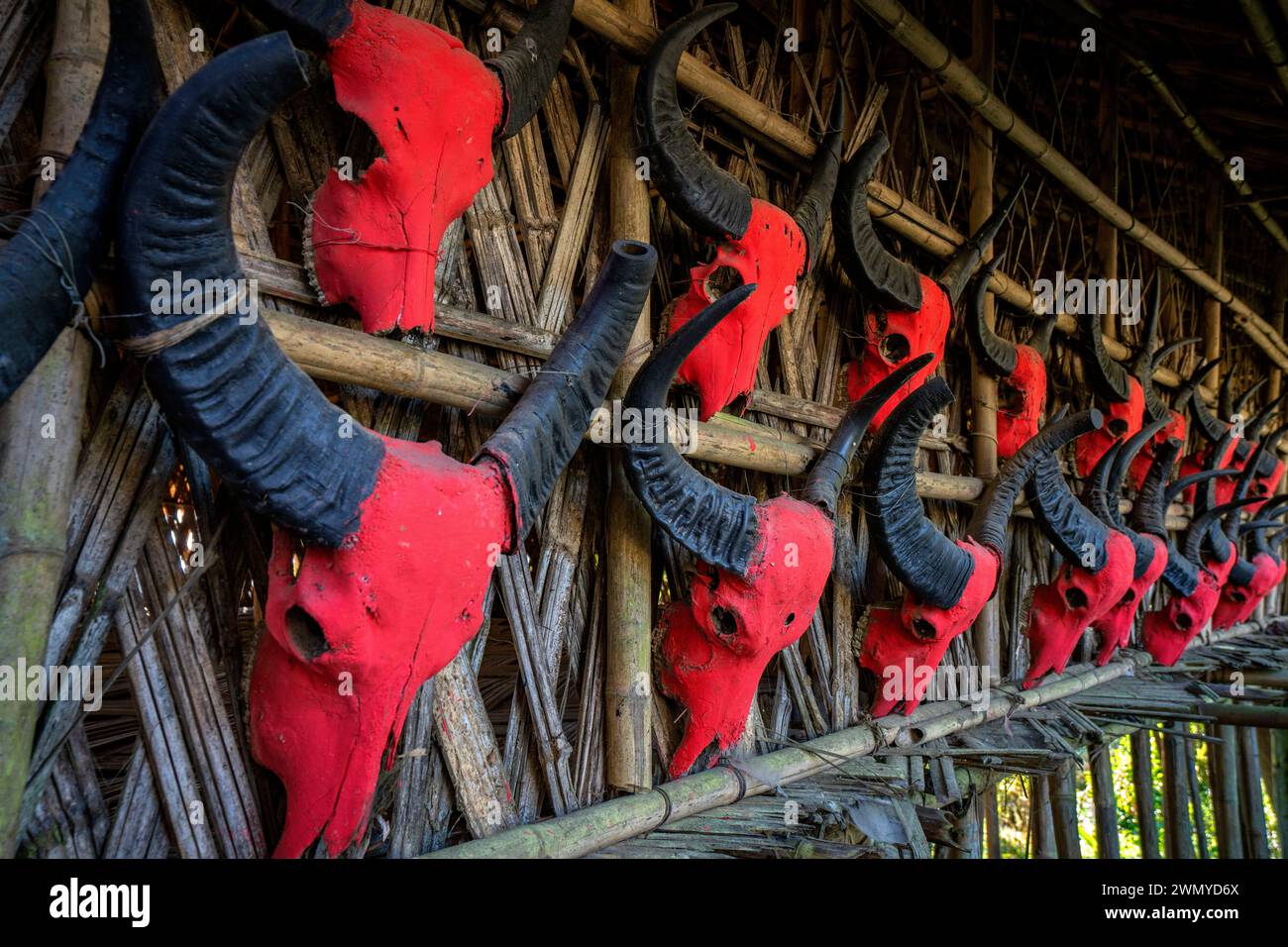 Nocte naga tribe hi-res stock photography and images - Alamy