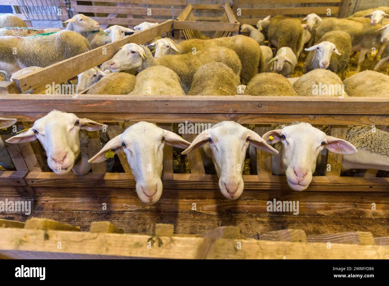 France, Indre et Loire, Loire valley listed as World Heritage by UNESCO ...