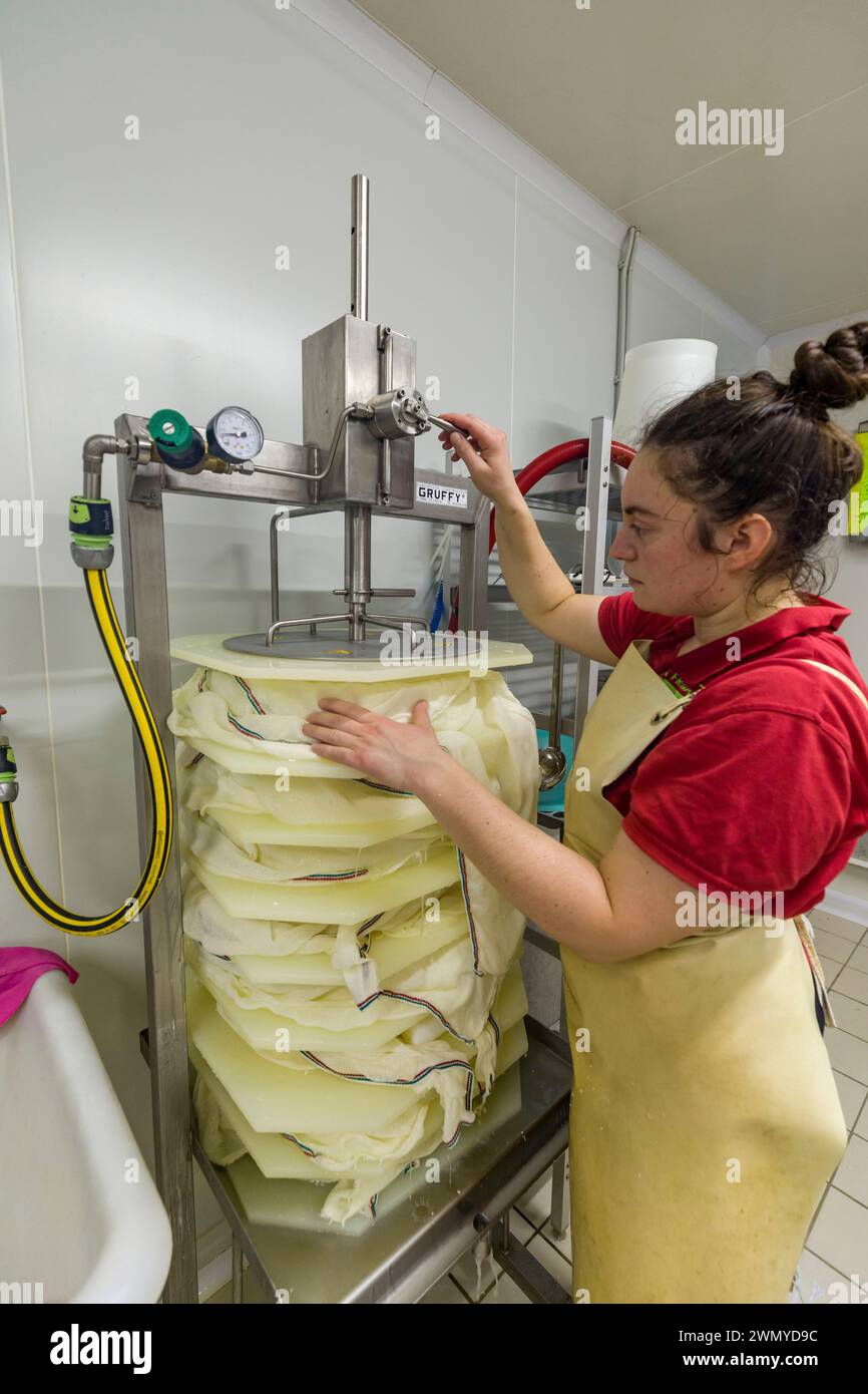 France, Indre et Loire, Les-Hermites, Lucie's cheese shop, in the ...