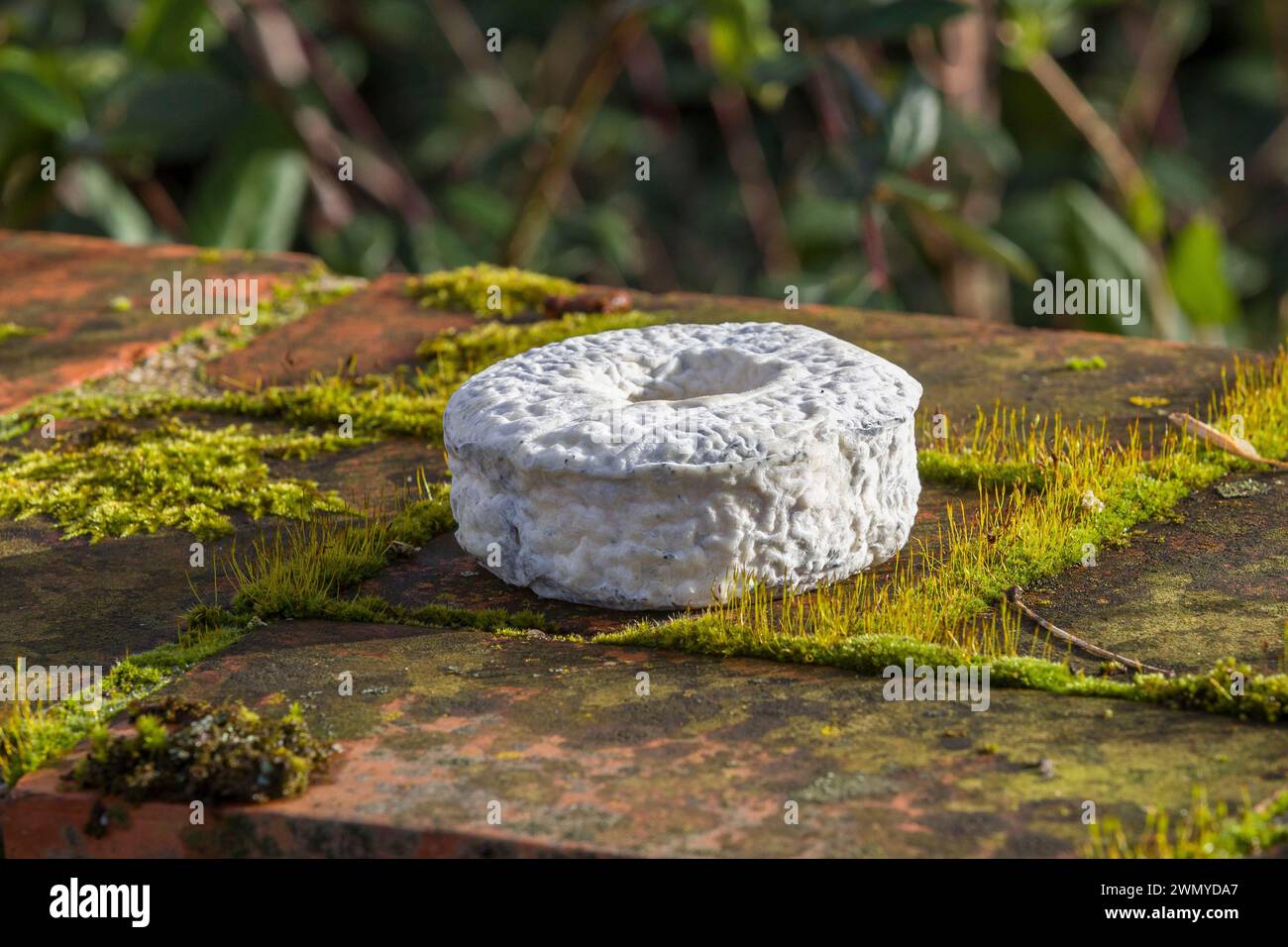 Ring shaped building hi-res stock photography and images - Alamy