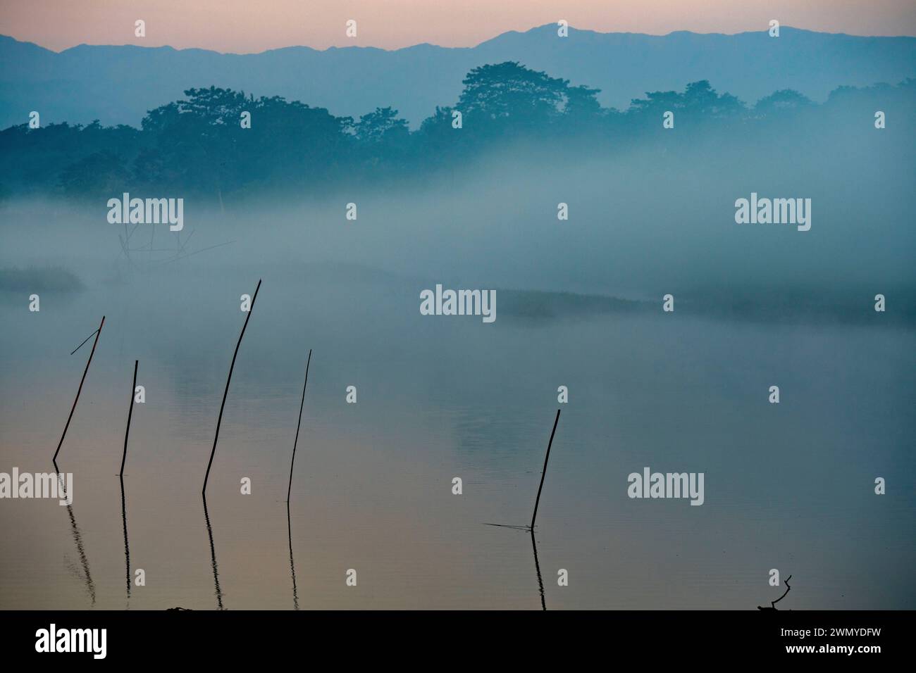 India, Assam, Brahmapoutre river, Majuli island Stock Photo - Alamy