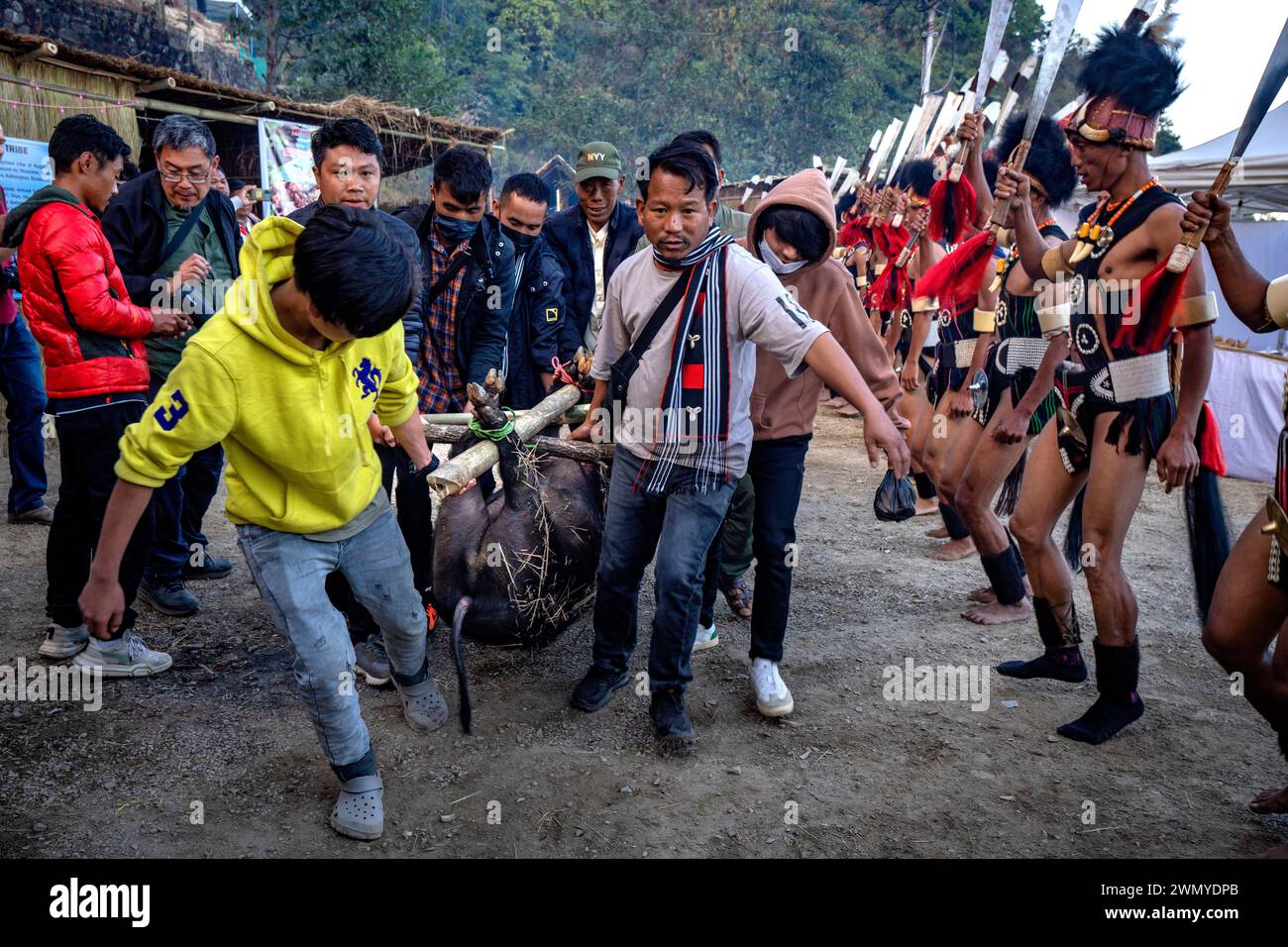 India, Nagaland, Kohima, annual meeting of all the Naga tribes during ...