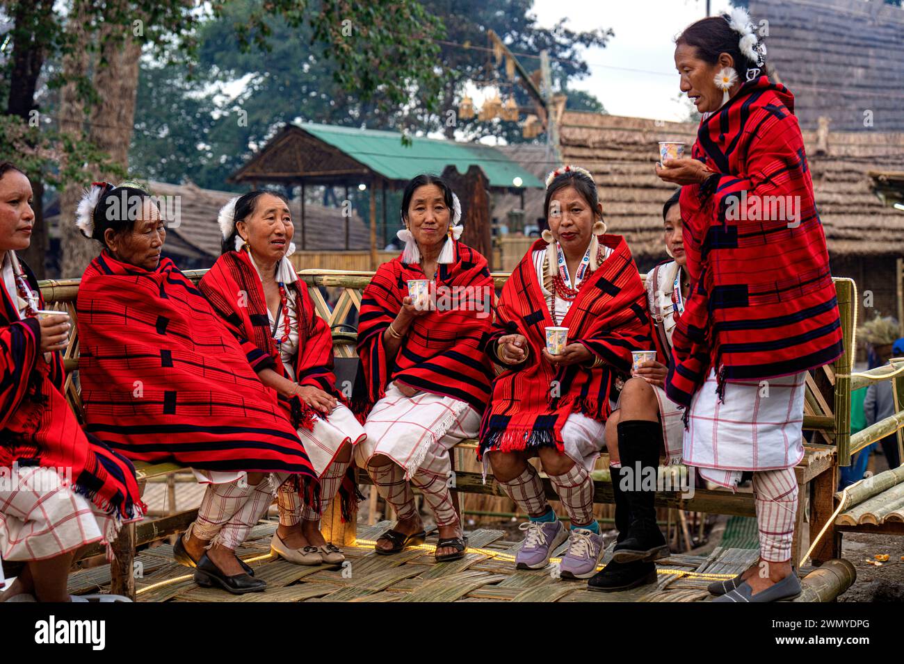 India, Nagaland, Kohima, annual meeting of all the Naga tribes during ...