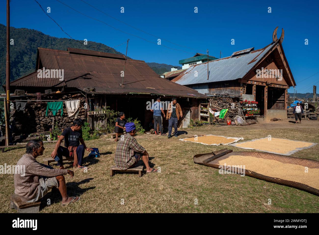 India, Nagaland, tribal Naga village of Khonoma, rice drying Stock ...