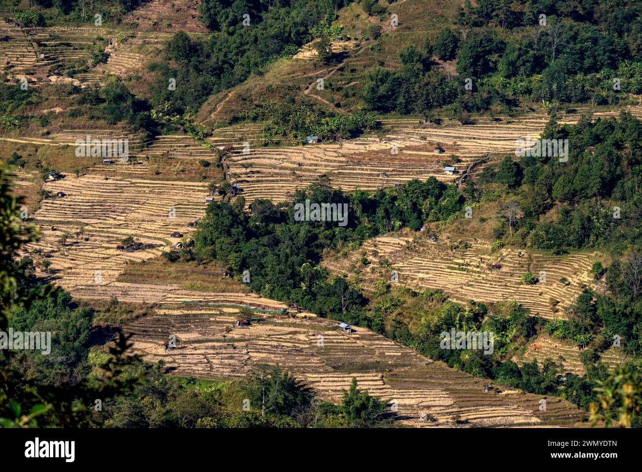 Khonoma village hi-res stock photography and images - Alamy