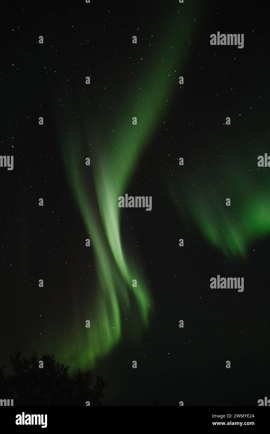 An ethereal display of the Northern Lights, or Aurora Borealis, arcs ...