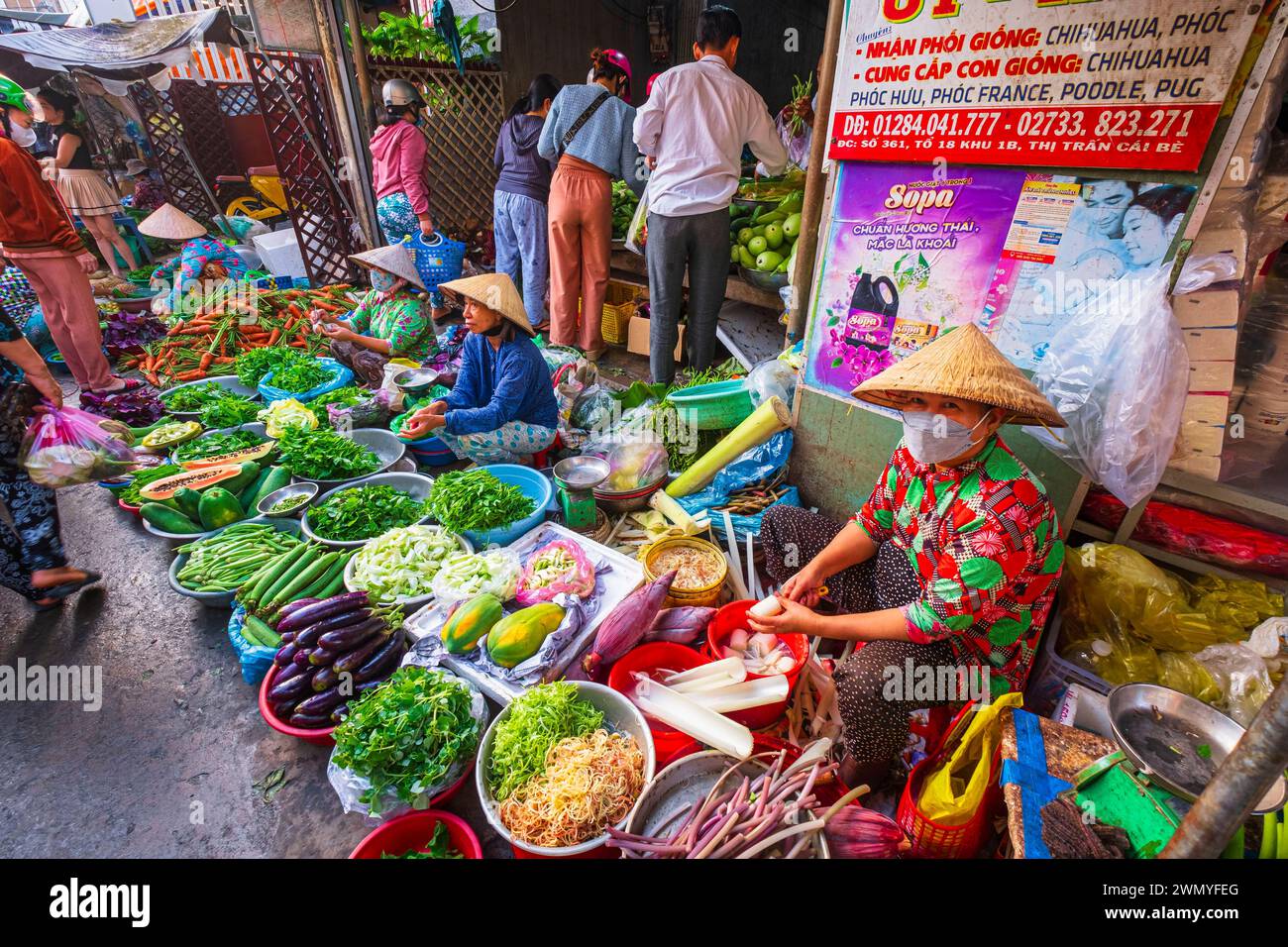 Vietnam, Mekong Delta, Cai Be, the market Stock Photo - Alamy