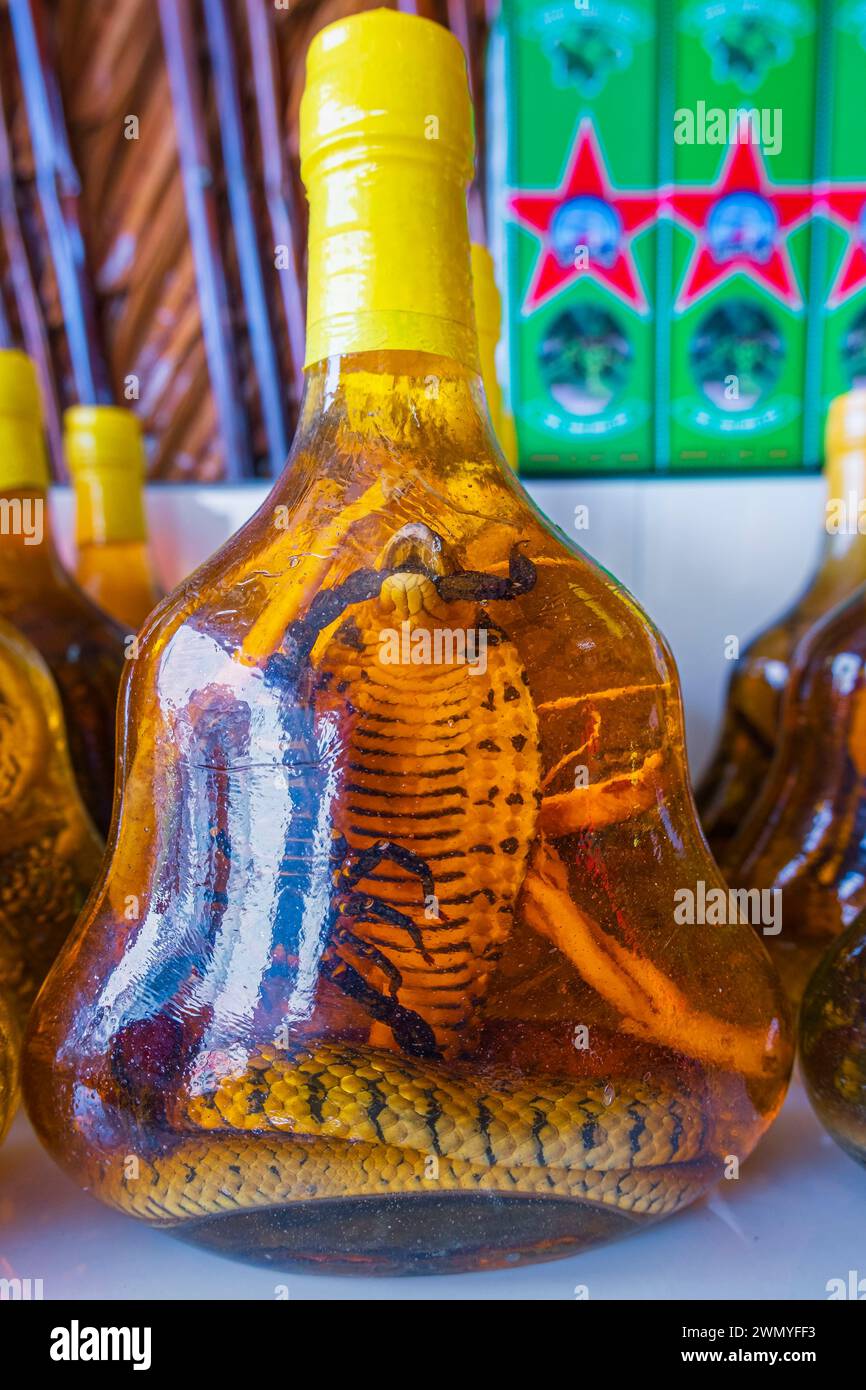 Vietnam, Mekong Delta, Cai Be, shop of rice alcohol bottles containing ...