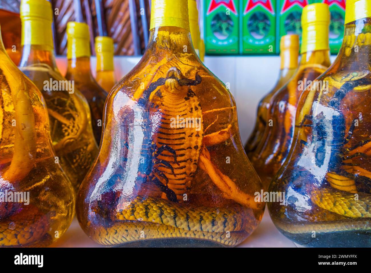 Vietnam, Mekong Delta, Cai Be, shop of rice alcohol bottles containing ...