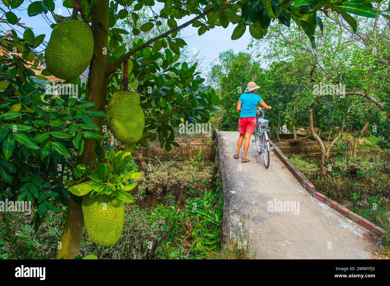 Vietnam, Mekong Delta, Tien Giang province, bike ride on Tan Phong ...