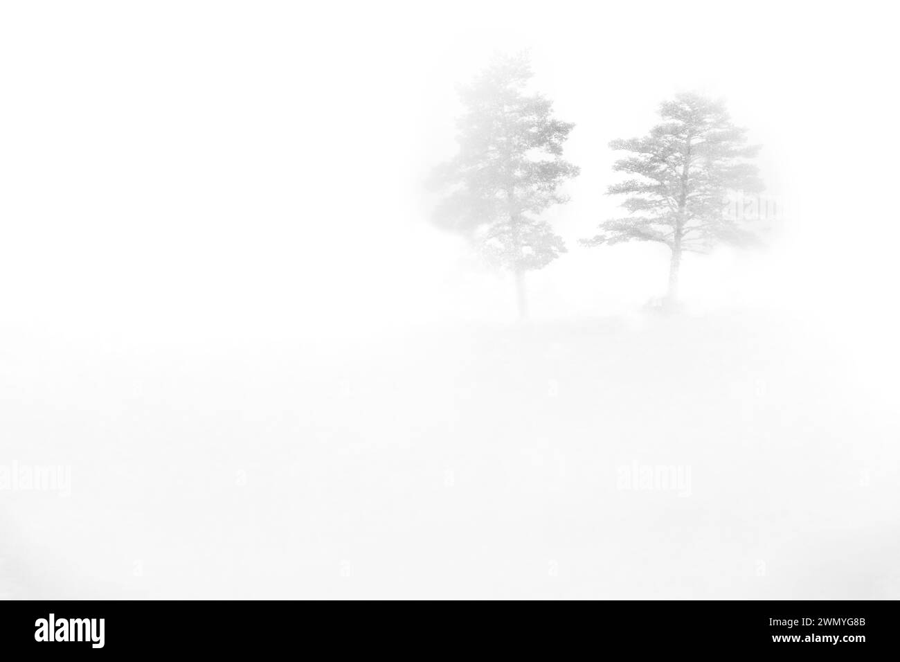 High key photograph hi-res stock photography and images - Alamy