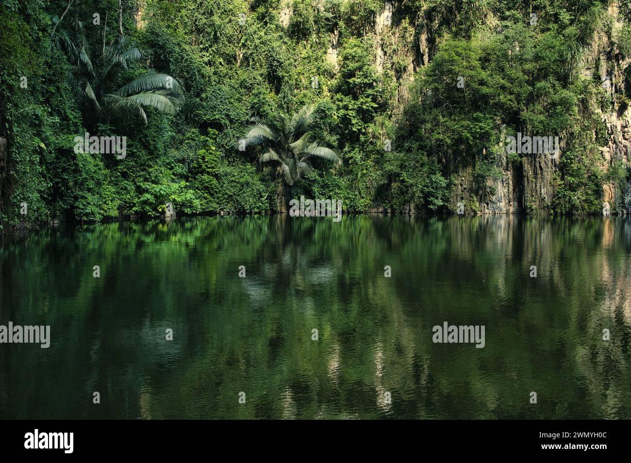 Serene tropical river in the heart of Malaysia's lush rainforest with ...