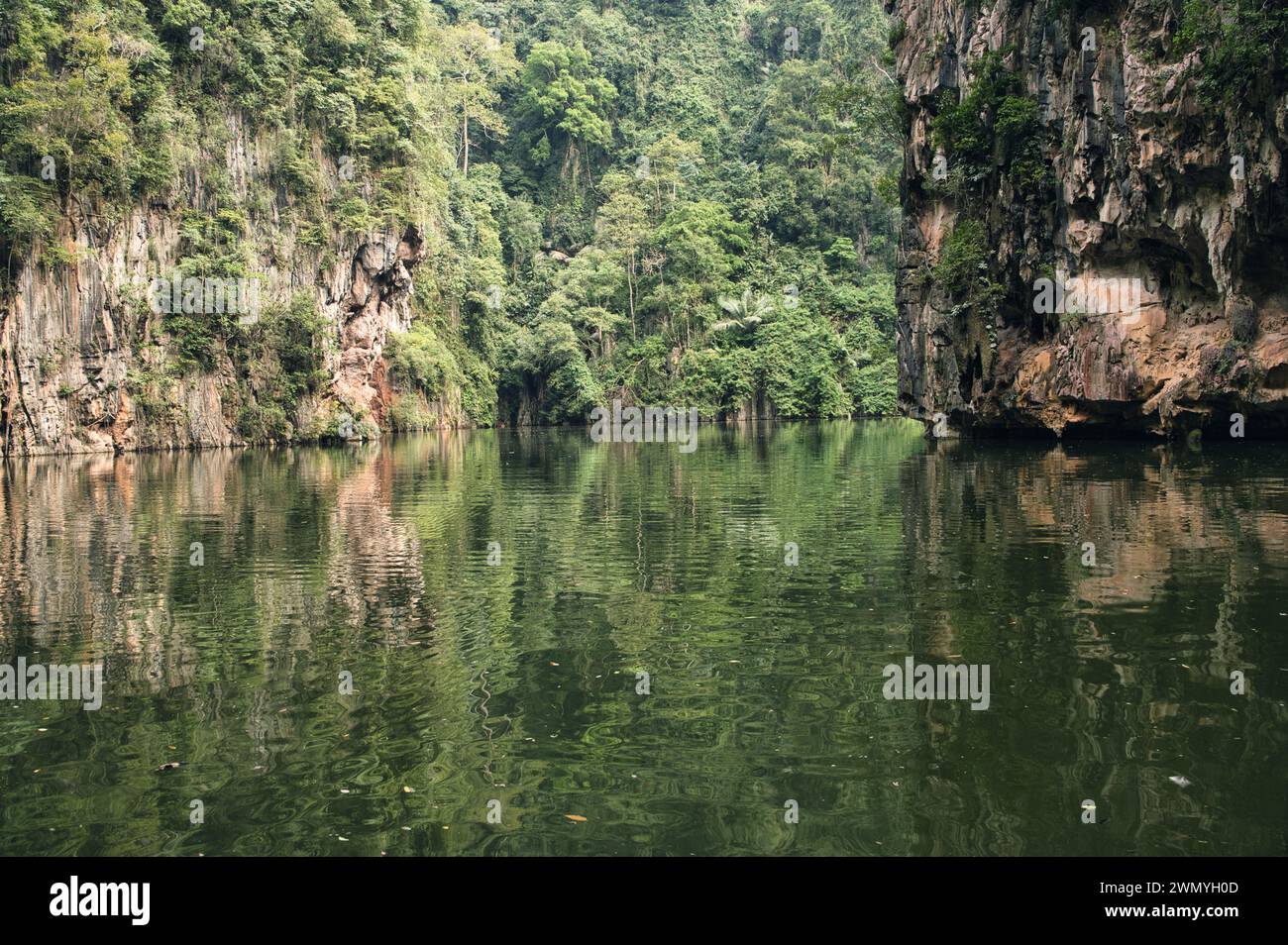 A tranquil and lush environment surrounds a still lake within a ...