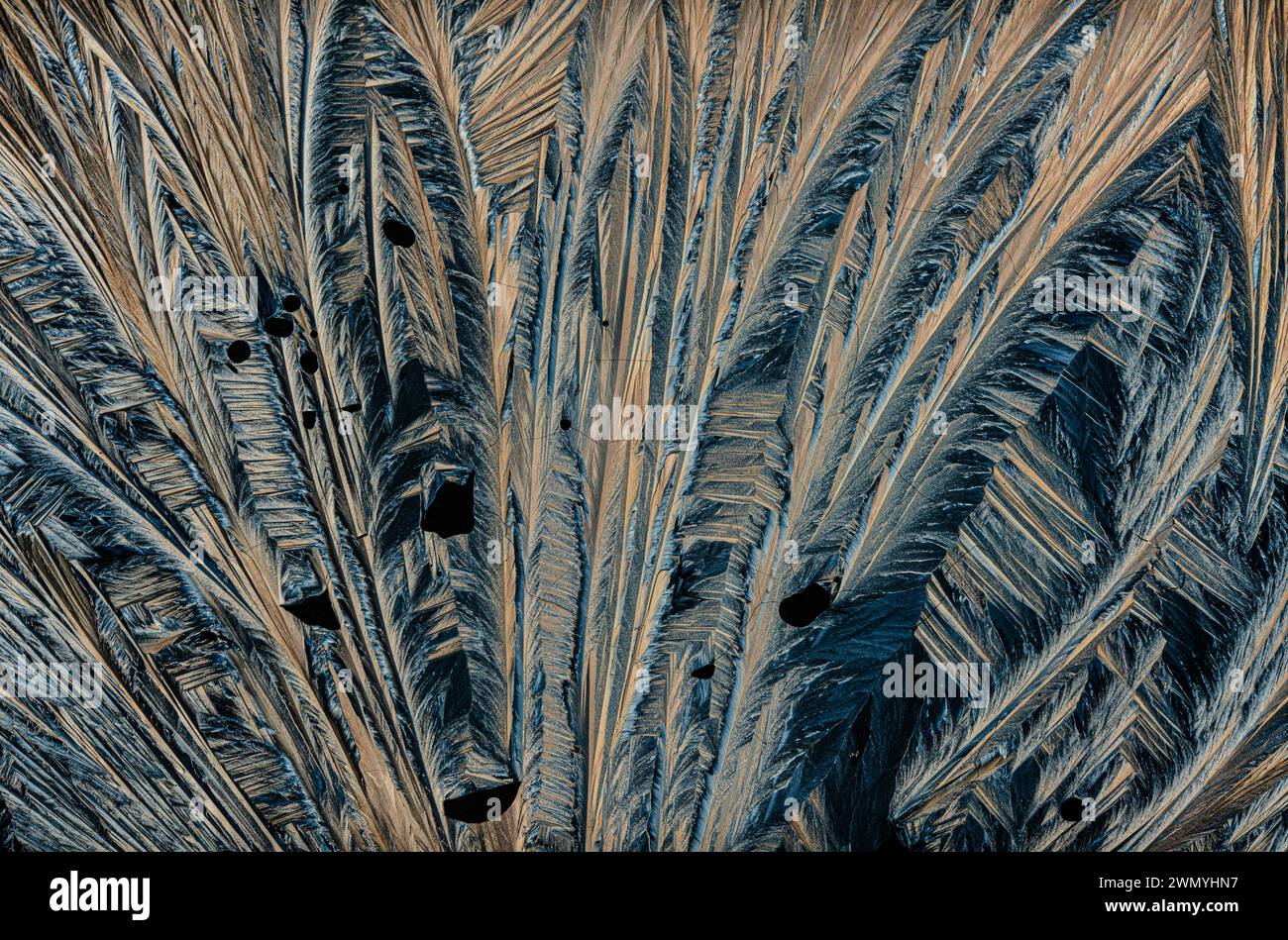 Ice crystals microscope hi-res stock photography and images - Alamy