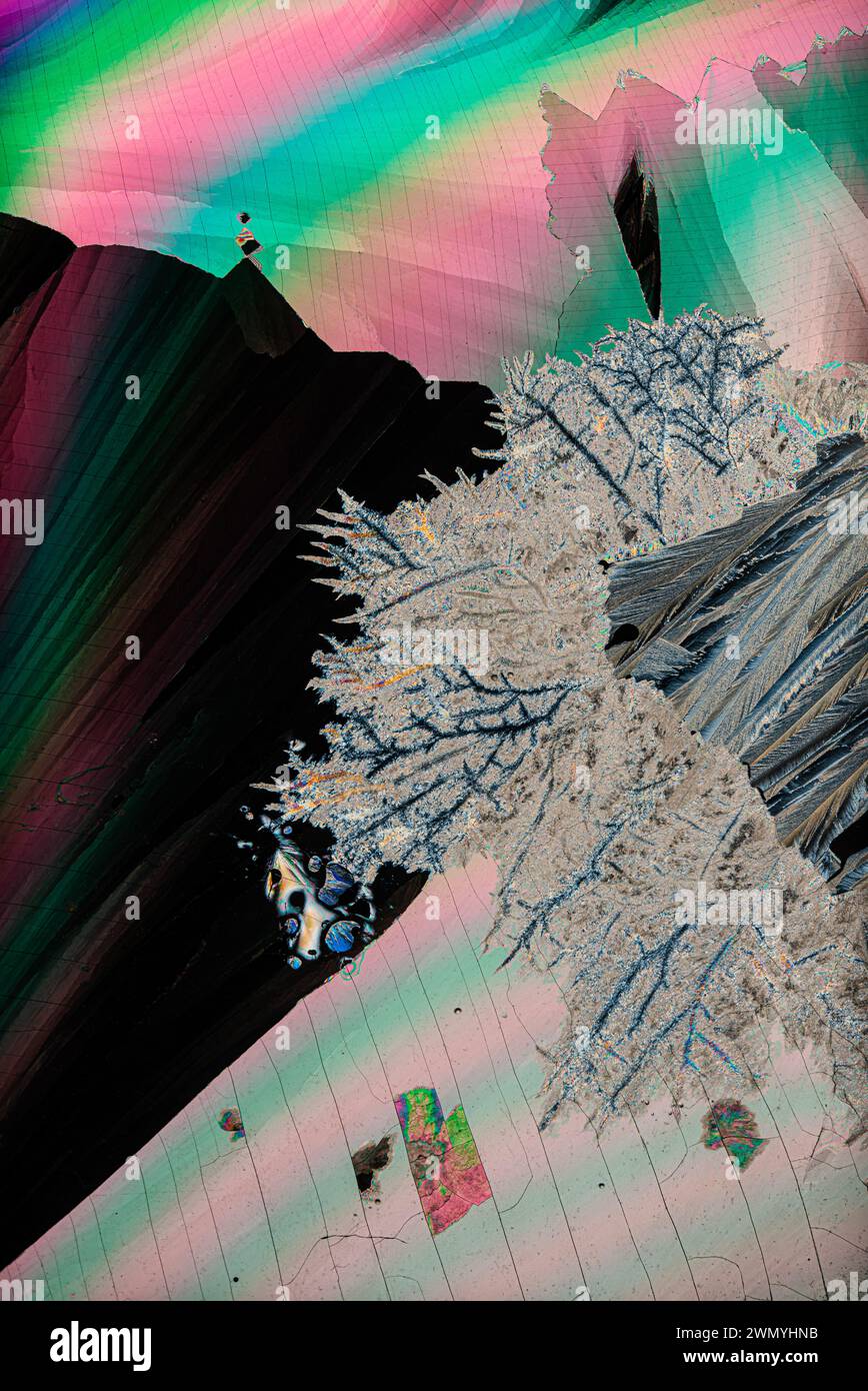 A digitally altered image combining natural textures and artificial ...