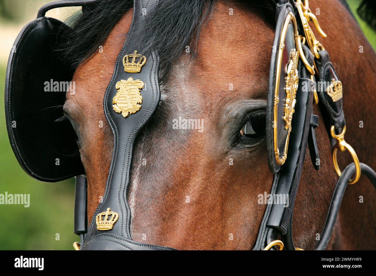 Crown headpiece hi-res stock photography and images - Alamy