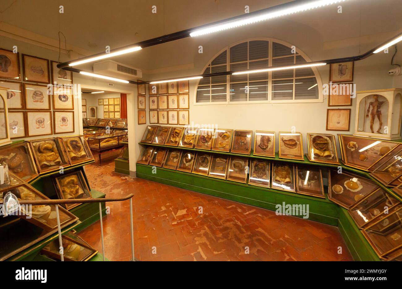 Natural History Museum Rome Italy