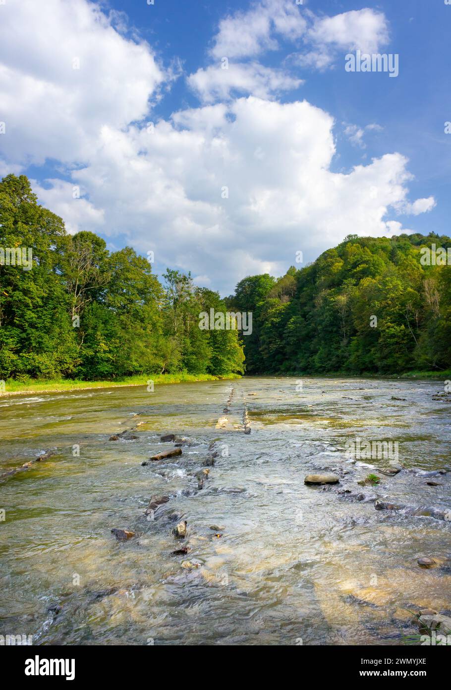 Park krajobrazowy doliny sanu hi-res stock photography and images - Alamy