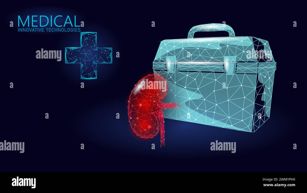 3D human kidneys transplantation case. Red low poly kidneys anatomy ...