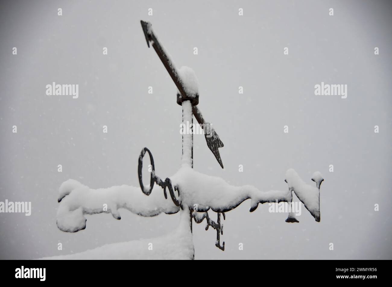 Rose winds landscape hi-res stock photography and images - Alamy