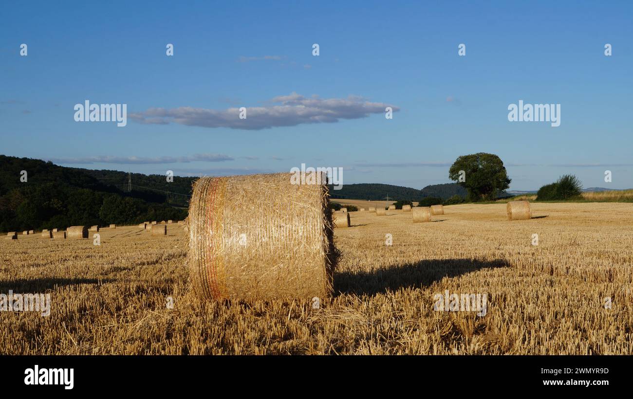 Modern sheaves hi-res stock photography and images - Alamy