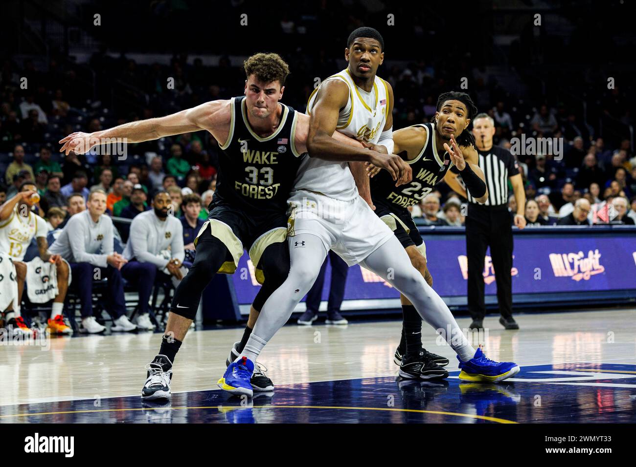 2024 0306 jpg hi-res stock photography and images - Alamy