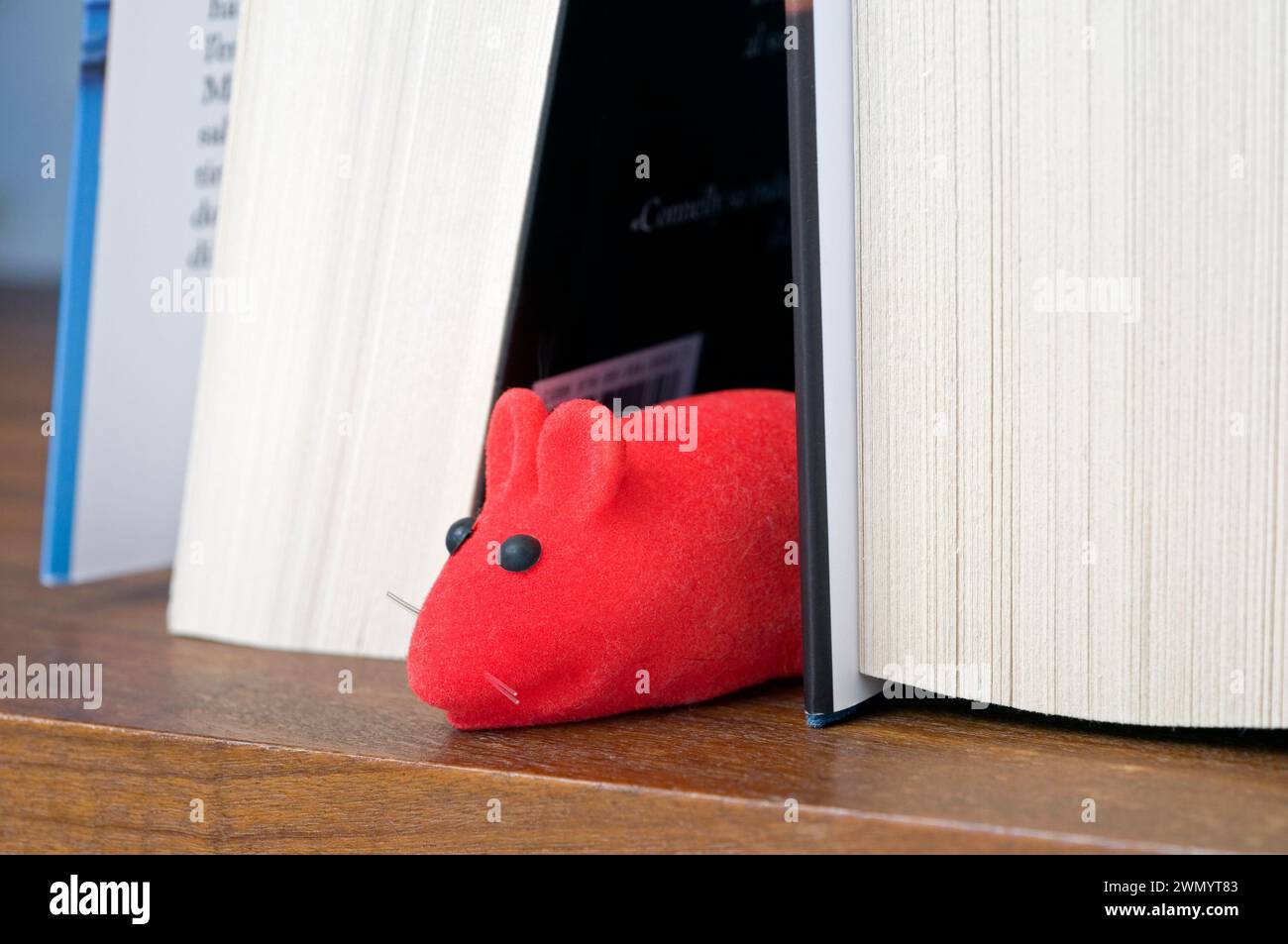 Red mice between books Stock Photo - Alamy