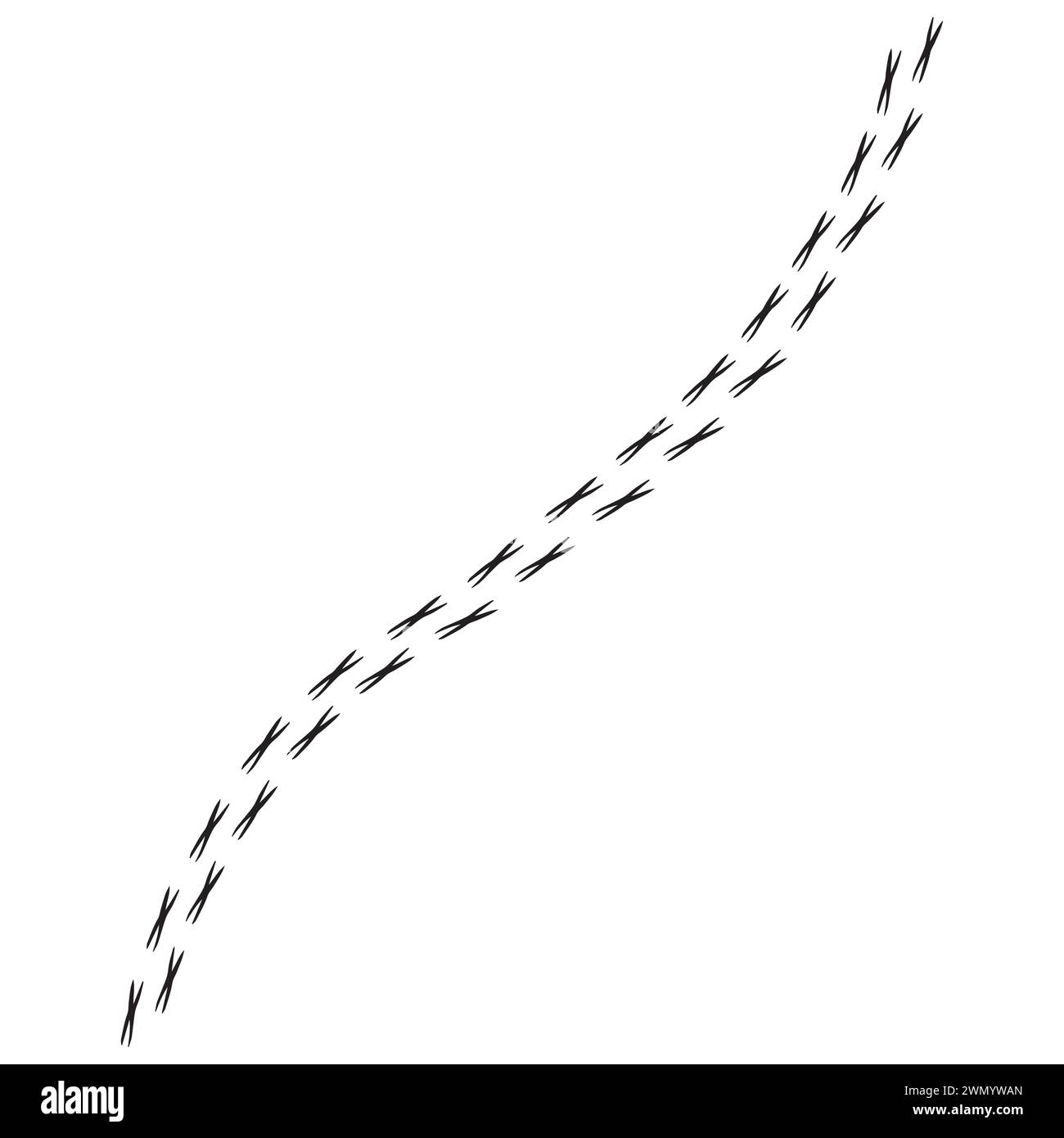 Vector hand drawn parrot footprint path isolated on white background ...