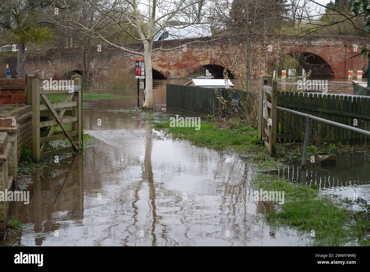 Sonning, Berkshire, UK. 28th February, 2024. Parts of the Thames Path ...