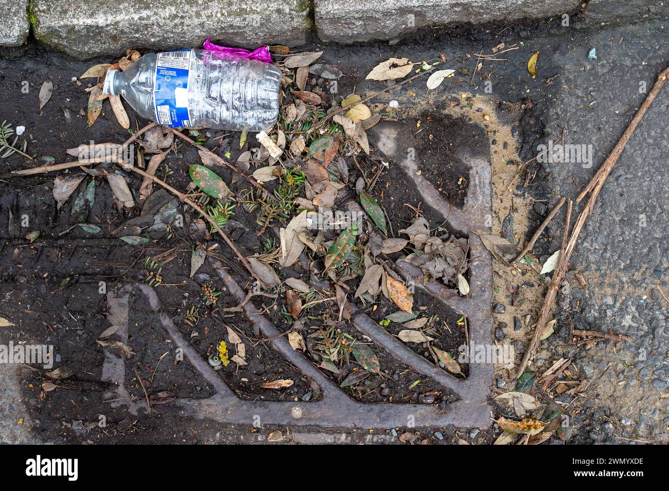Sonning, Berkshire, UK. 28th February, 2024. The familiar sight of a ...