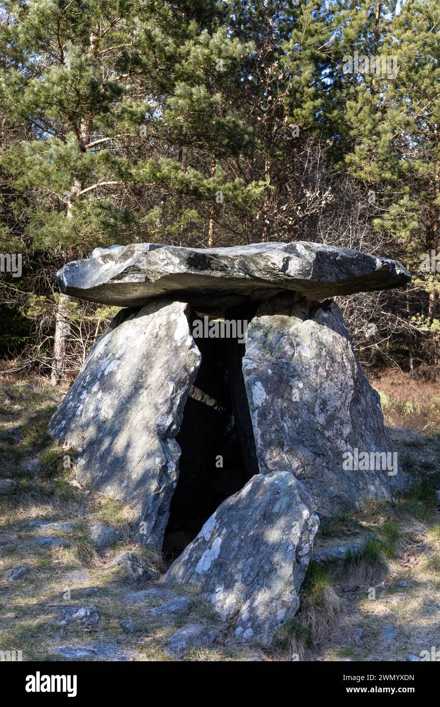 Stone age grave with raised stones and forest background Stock Photo ...