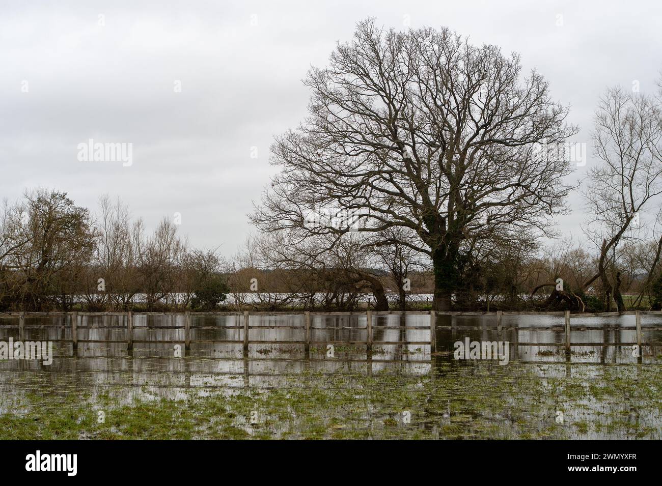 Sonning, Berkshire, UK. 28th February, 2024. The River Thames has burst ...