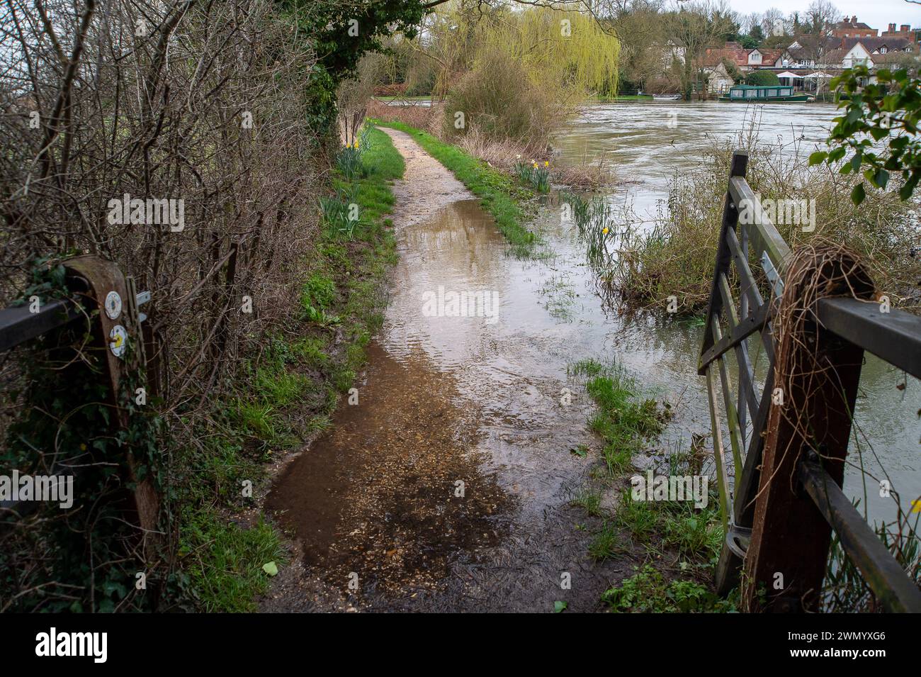 Sonning, Berkshire, UK. 28th February, 2024. Parts of the Thames Path ...