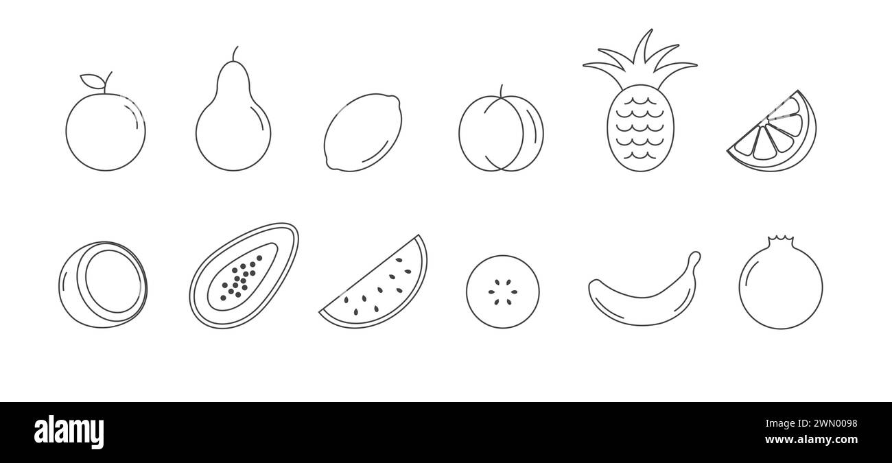 Black line fruit set. Tropical outline fruits. Linear style vector ...