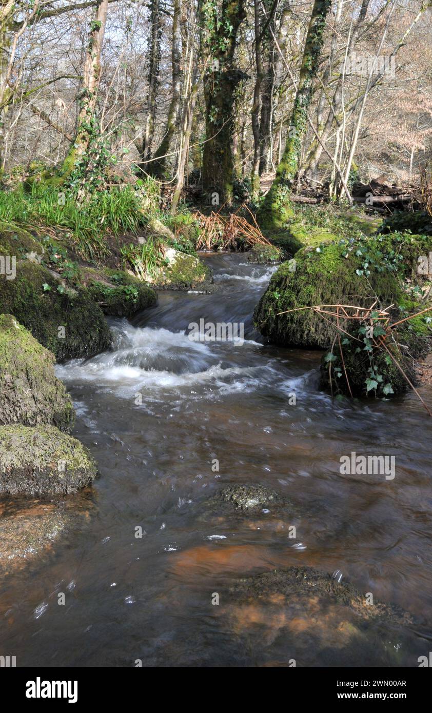 Sce ic hi-res stock photography and images - Alamy