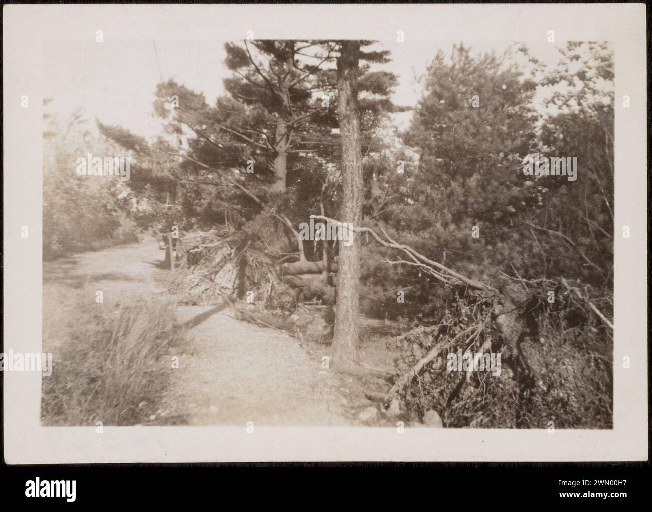 New England Hurricane, 1938. New England Hurricane, 1938 Stock Photo ...