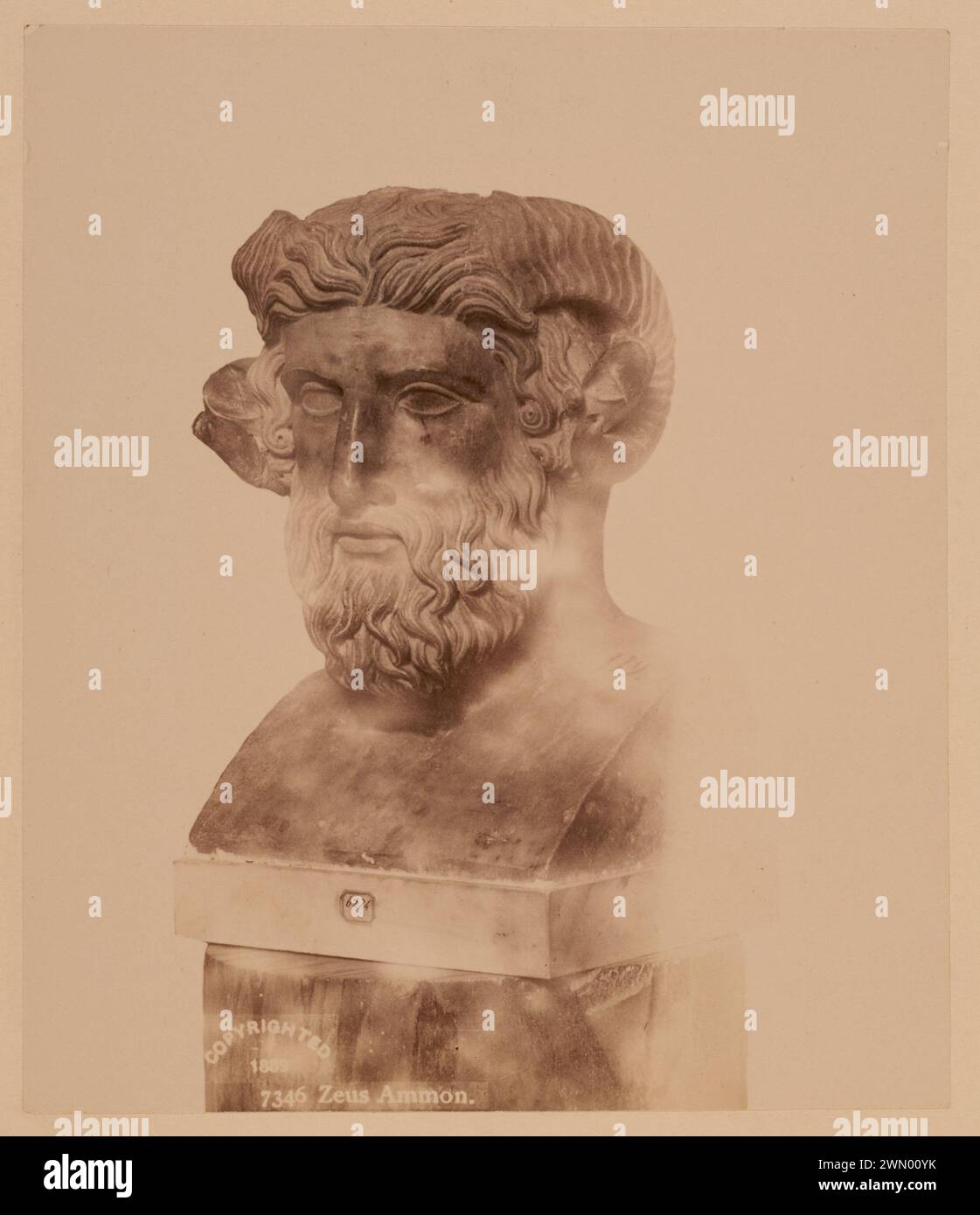 Zeus Ammon. Zeus Ammon Stock Photo - Alamy