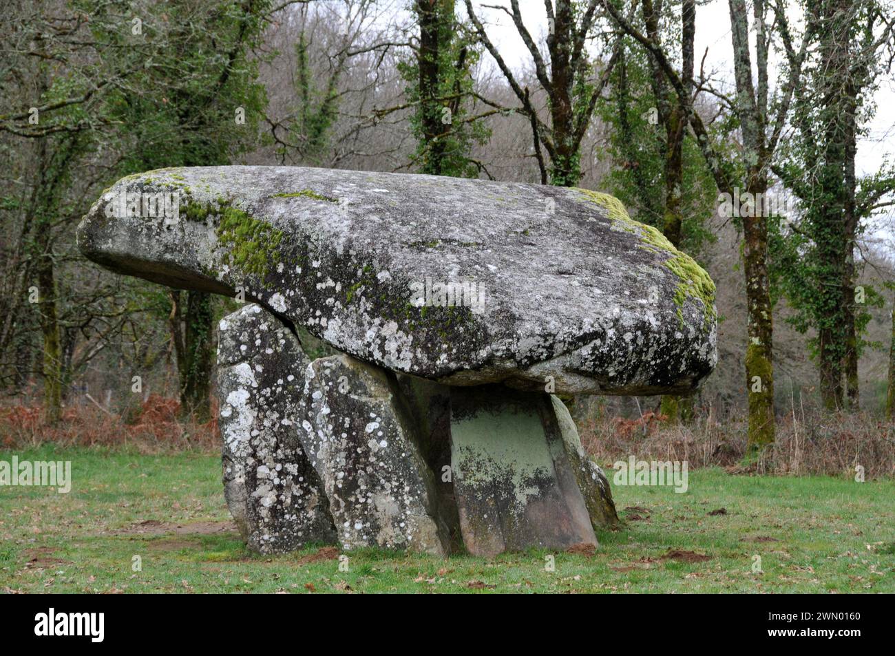 Granite Dolmen from the Neolithic period, aprox 3000BC. Large flat ...