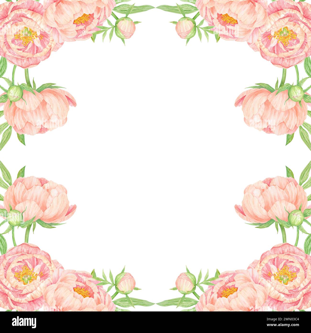 Peach peony bouquet watercolor hand drawn frame. Chinese national ...