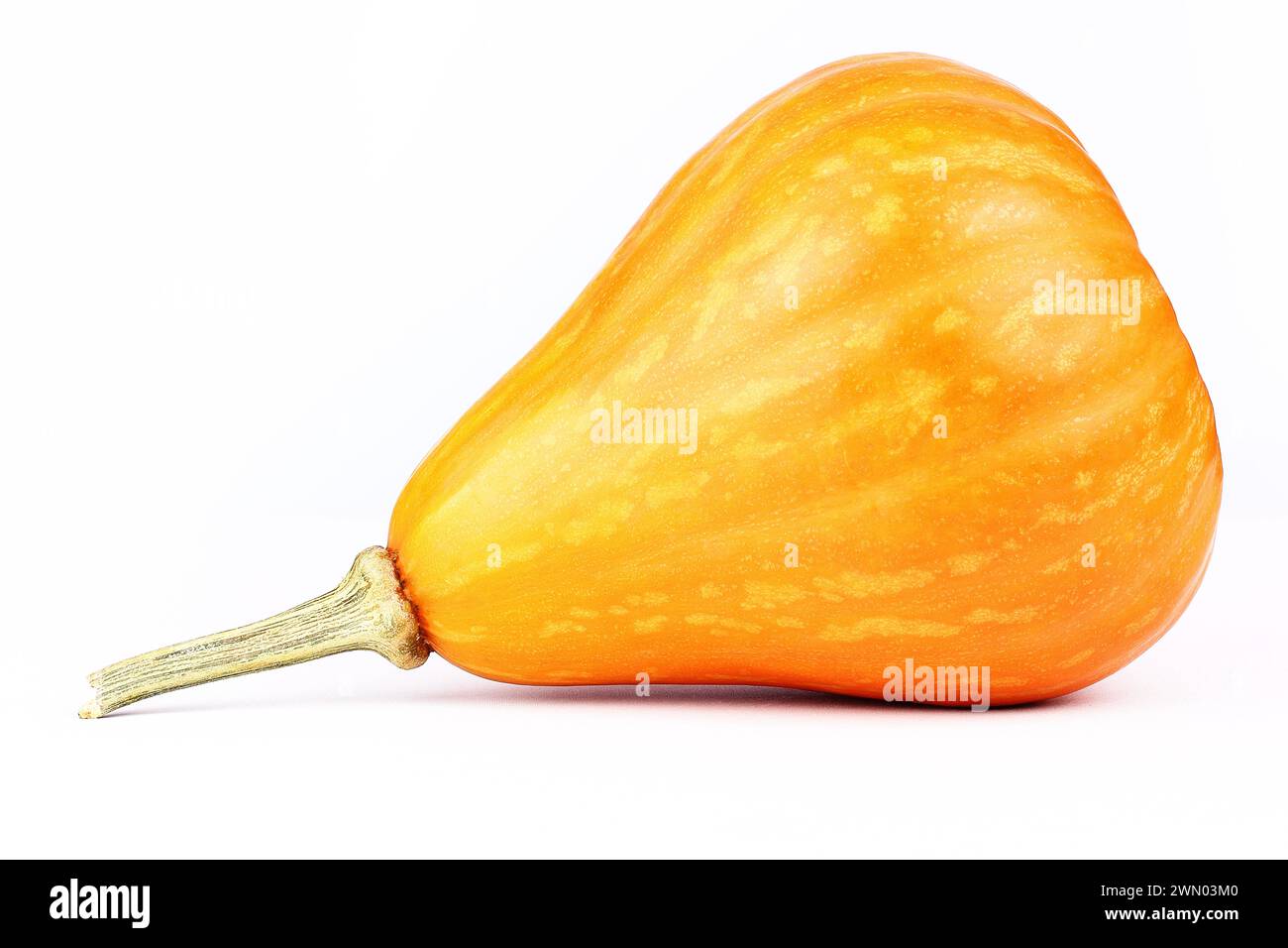 orange color pumpkin isolated white background Stock Photo - Alamy