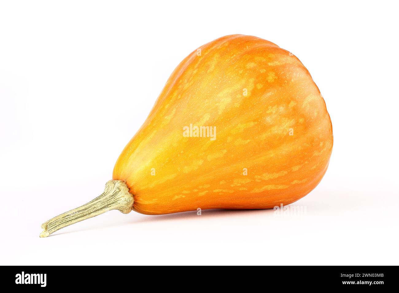 orange color pumpkin isolated white background Stock Photo - Alamy