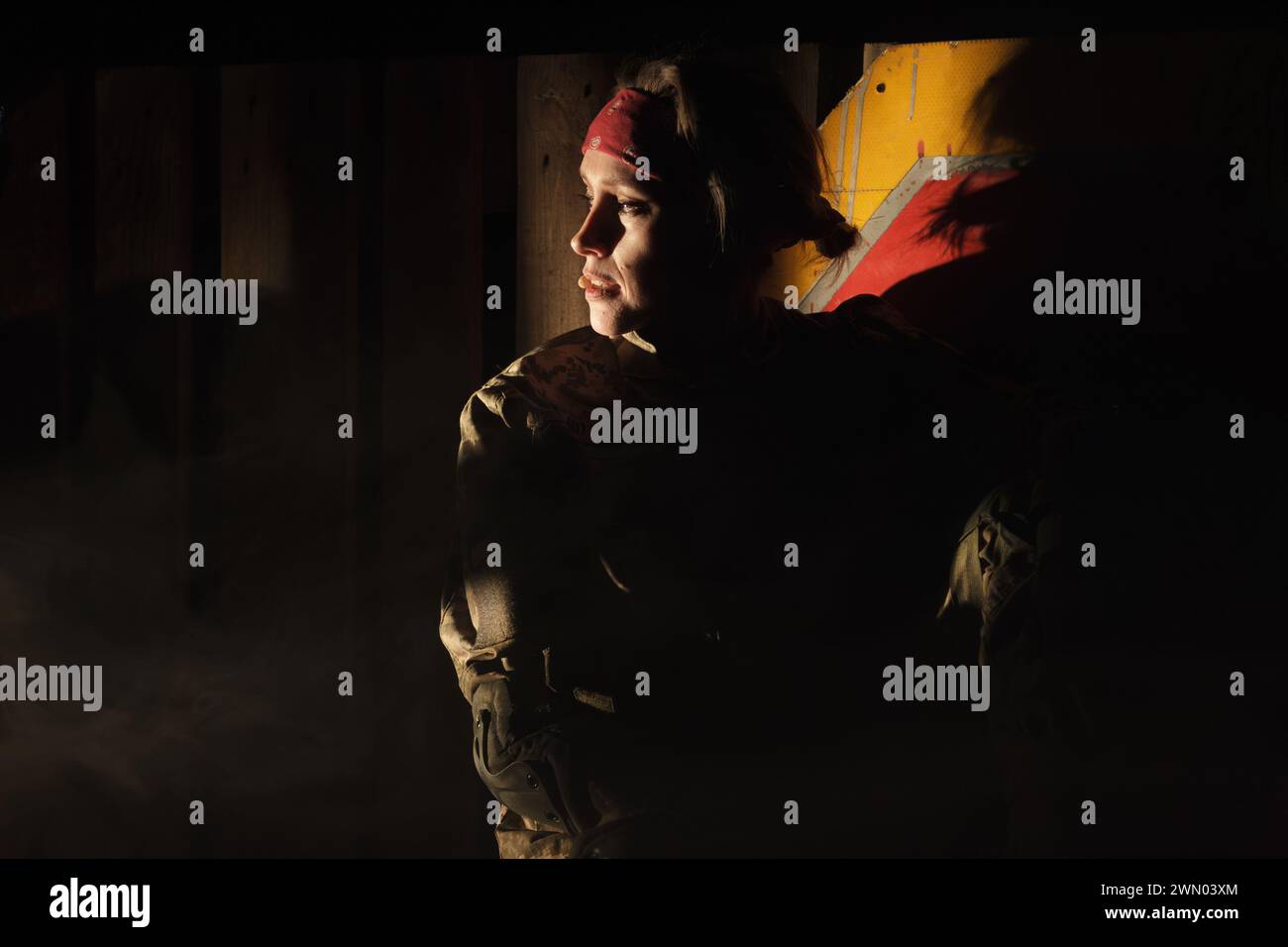 Non Exclusive: KYIV, UKRAINE - FEBRUARY 26, 2024 - Merited Artist of ...