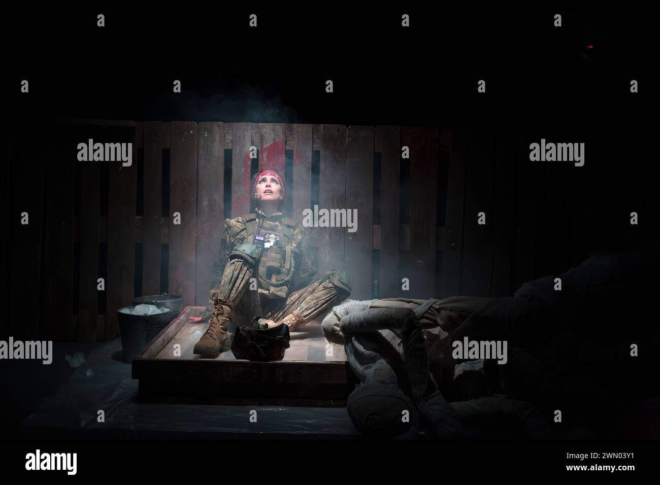 Non Exclusive: KYIV, UKRAINE - FEBRUARY 26, 2024 - Merited Artist of ...