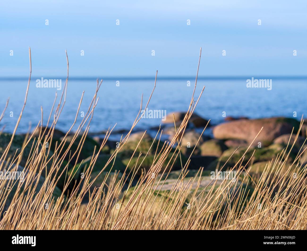 The rugged coastline of Veczemju Klintis is painted with the soft ...