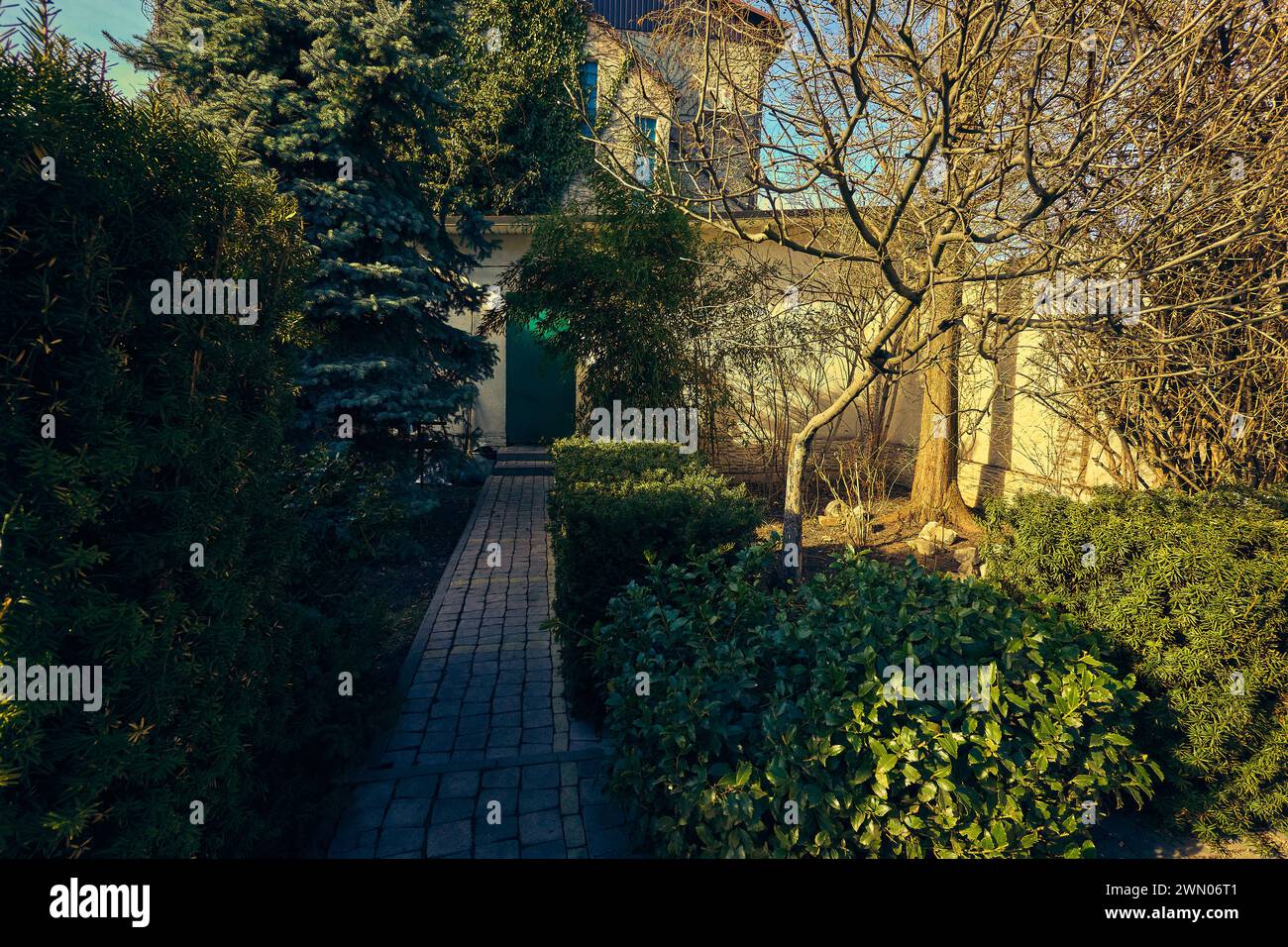 Decorative path made of ceramic tiles leading to the door among the ...