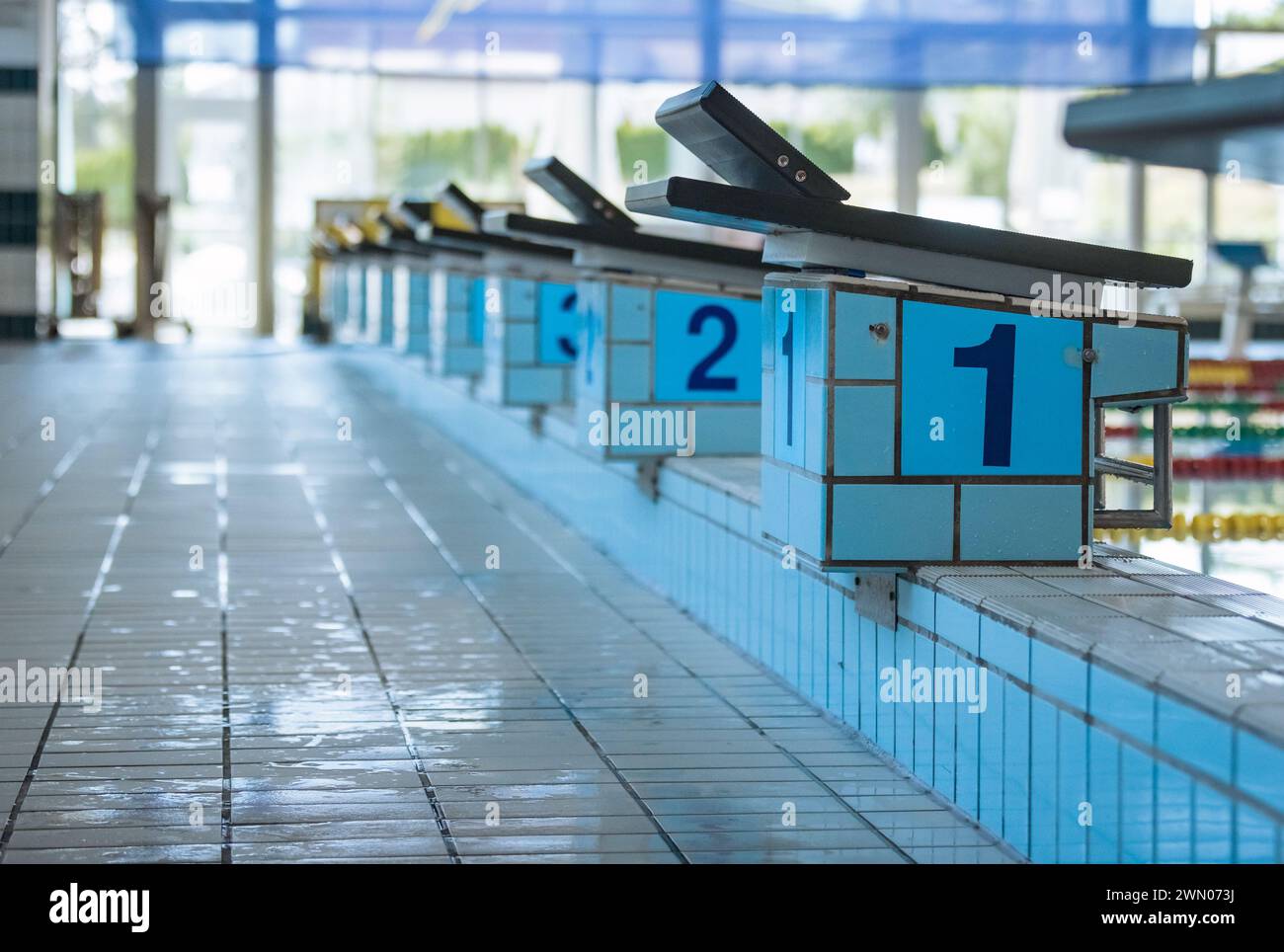 Empty sport competition swimming pool with lanes Stock Photo - Alamy