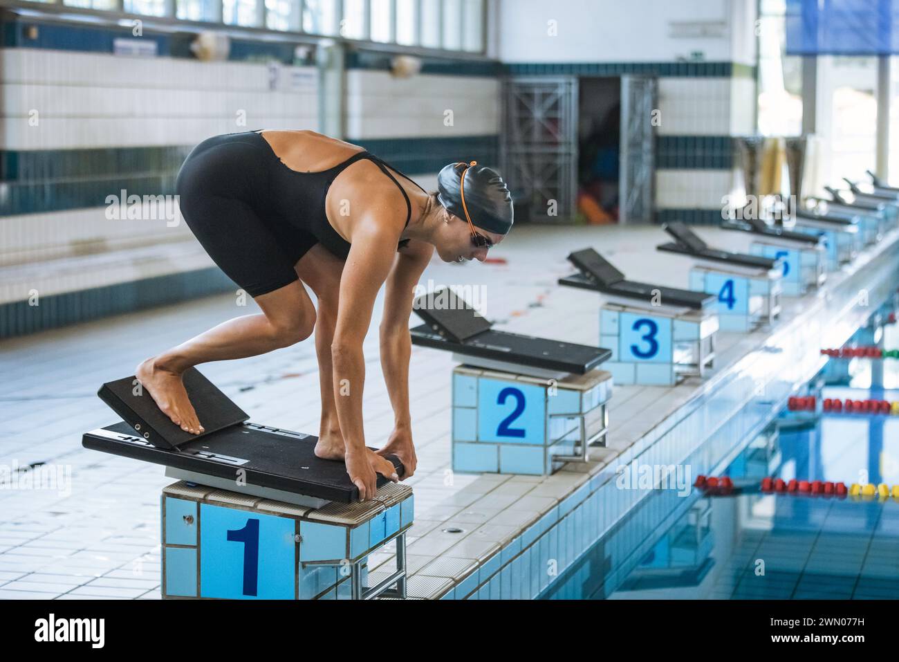 Professional female swimmer preparing and jumping off the starting ...