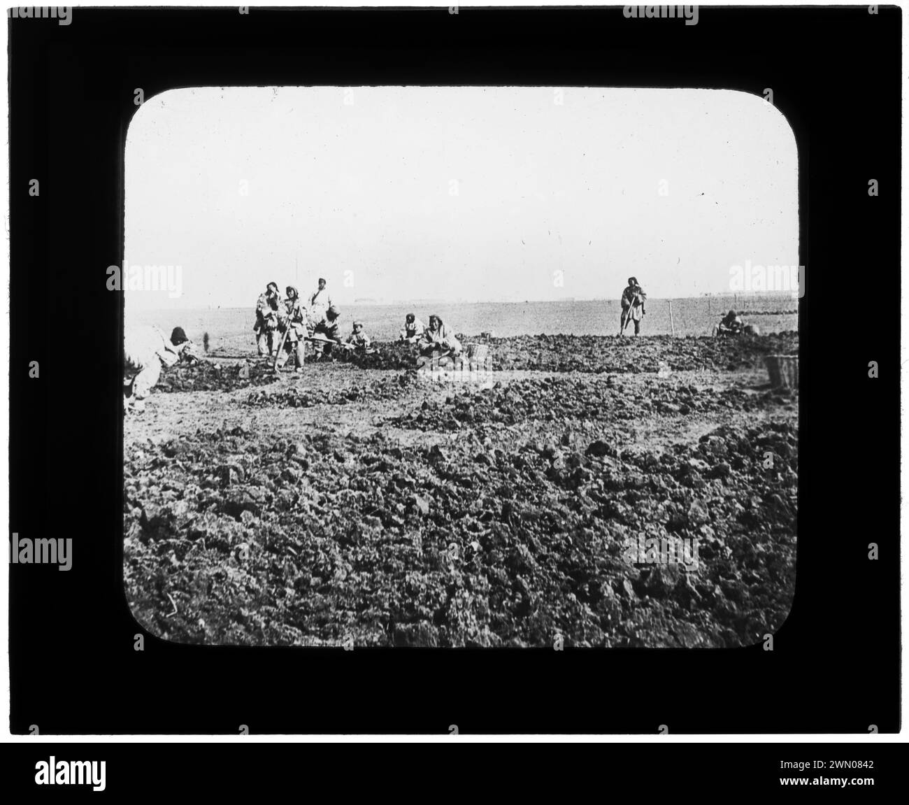 Group of people farming. Group of people farming Stock Photo - Alamy