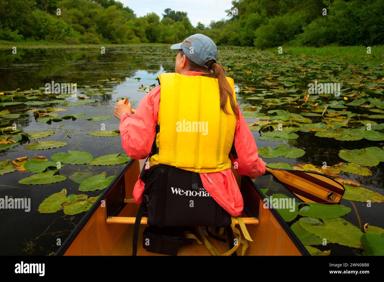 Canoeing on Goose Lake, Willamette Mission State Park, Oregon Stock ...